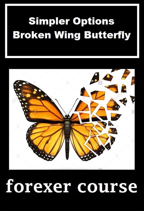 Simpler Options Broken Wing Butterfly Forexer Course