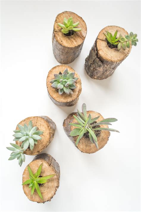 Tree Branch Planter 11 ⋆ Design Mom