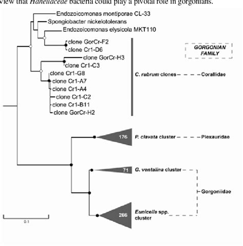 Figure 1 From Interspecific Comparisons Of Host Associated Bacterial