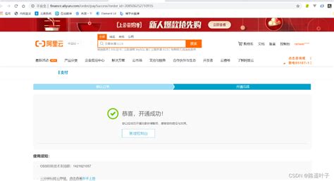 【阿里云】阿里云oss对象存储— 开通oss服务、搭建oss环境、快速入门阿里云oss存储桶 Csdn博客