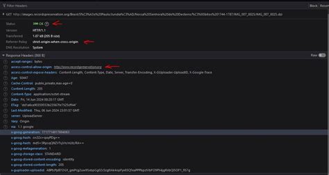 Load Balancing Why Am I Getting Cors Error With Ok Cloud Cdn