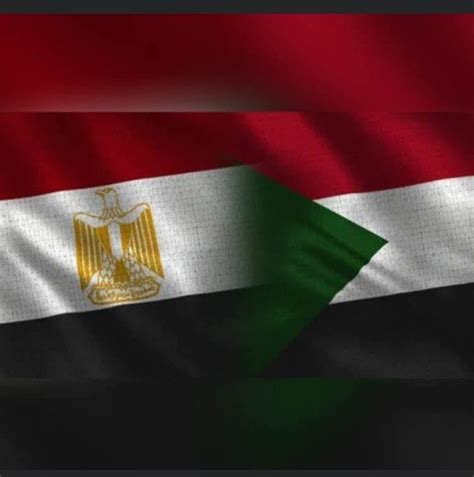 المصريين العائدين من السودان