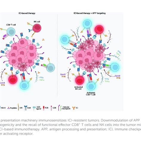 Classification Of Biologics Download Table