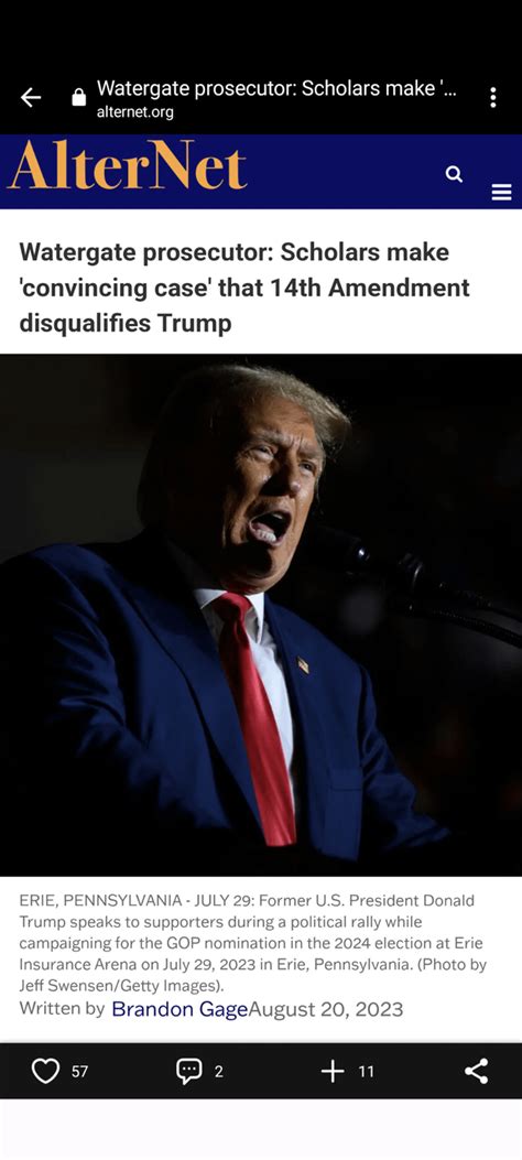 Scholars Make Convincing Case That 14th Amendment Disqualifies 🚫 ⭕ 👎