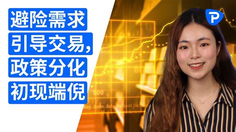 避险需求引导交易，政策分化初现端倪 Youtube