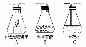 29利用下列装置设计一个测定呼吸作用的装置图 如下图 要求 所给装置均要用到 必要时只能重复使用所给三个装置中的其中一个 1 用字母表示