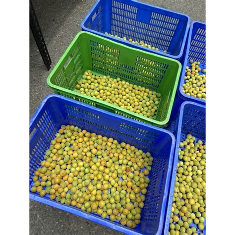 大粒現貨雪花脆梅2000g（有含4大包） ️台灣酸甜爽脆 ️蜜餞 堅果 梅子 蝦皮購物