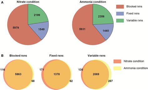 Flux Variability Analysis Of The Multi Tissue Metabolic Network A