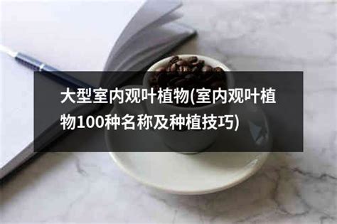 大型室内观叶植物 室内观叶植物100种名称及种植技巧 养花经验