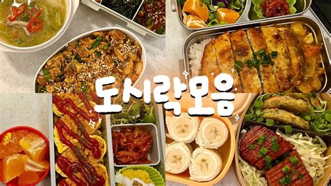 1월 4주차 자취하는 자매🔥 도시락 모음집 직장인 도시락🍱 Youtube