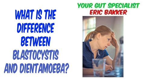 What You Need To Know About Dientamoeba Fragilis And Blastocystis Hominis Yeastinfection Org
