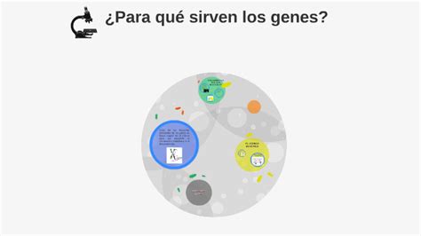 ¿para Qué Sirven Los Genes By Juan Duarte On Prezi