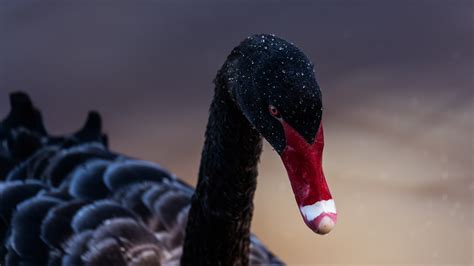 Tamron 70-300mm for Sony proves to be a nature photography gem - Photofocus