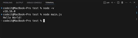 Nodejs 설치하기macos 코드잇