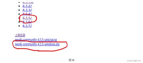 Jdk11与neo4j安装说明jdk和neo4j版本怎么搭配 Csdn博客