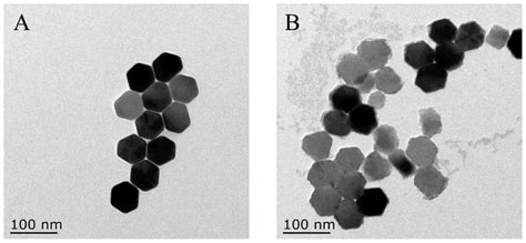 Rapid Pathogenic Bacterium Detection Method Based On High Sensitivity Fluorescence Colorimetric
