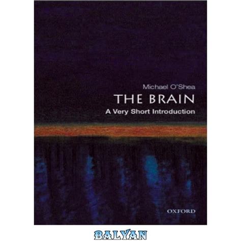 خرید و قیمت دانلود کتاب The Brain A Very Short Introduction ا مغز