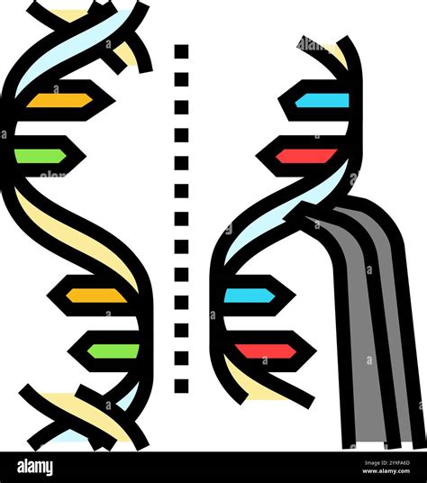 Genome Editing Genetic Engineering Color Icon Vector Illustration Stock