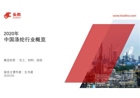 2020年中国涤纶行业概览
