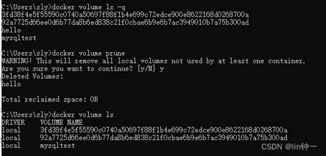 Docker五进阶Docker卷 volumes 阿里云开发者社区