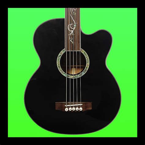 Michael Kelly Dragonfly 5 String Fretless Acoustic Bass Reverb