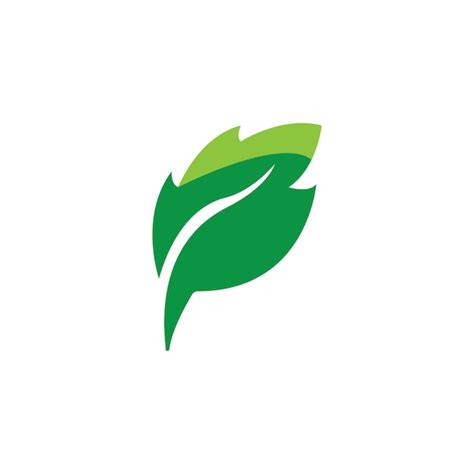 Premium Vector Green Leaf Ecology Nature Element