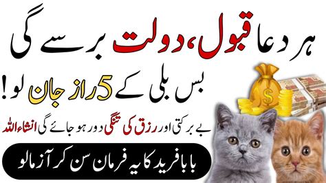 Har Dua Qabool Ho Jaye Gi Billi Ke Ye 5 Raaz Jan Lo Rizq Mey Barqat
