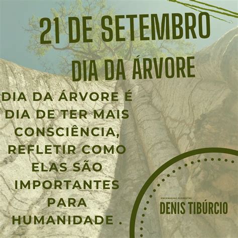 21 De Setembro Dia Da árvore Dia Da árvore 21 De Setembro Arvores