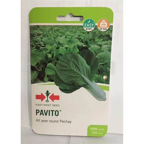 Pechay Pavito East West Seeds Small Pouch Shopee Philippines
