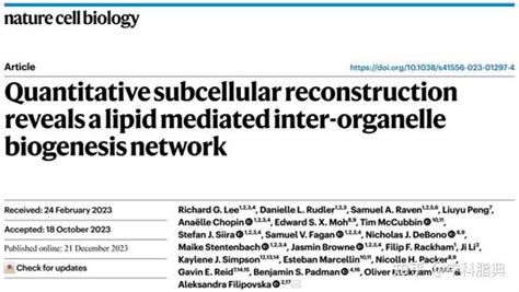 Nature Cell Biology定量亚细胞重建揭示脂质介导的细胞器间生物发生网络 知乎