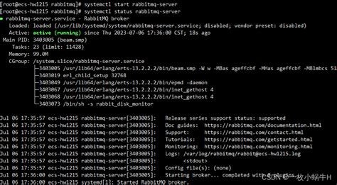 Rabbitmq保姆级安装：linux Centos8系统centos8安装rabbitmq Csdn博客