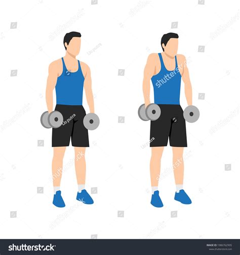 Dumbbell Shoulder Shrug Over 29 Royalty Free Licensable Stock Vectors