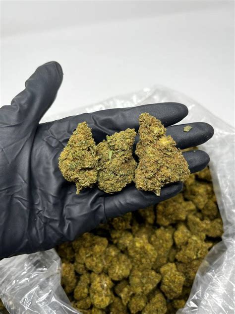 Cherry Pie Strain Organic Kush Farms