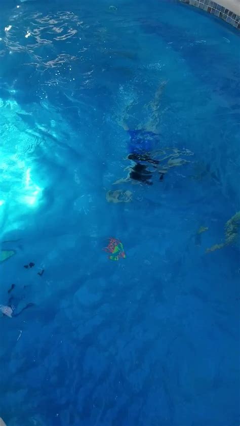 Pool Allison Aaron 2014 Flickr