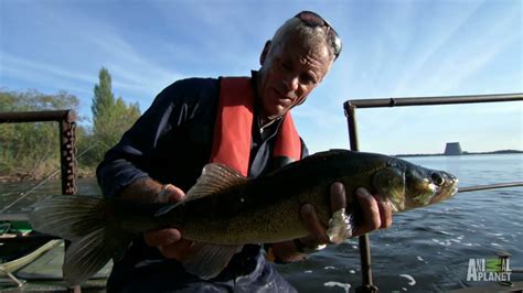 On The Hunt For Mutated Chernobyl Monsters River Monsters YouTube