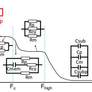 Representation Of The Impedance Spectrum With Electric Models Download Scientific Diagram