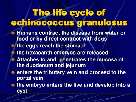 Pulmonary Echinococcus Ppt Download