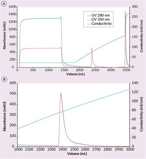 Roadmap To Success In Aav Purification In Process Control High