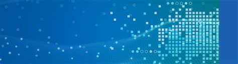 A Comprehensive Guide To HBA Cards For Data Storage Solutions Nfina