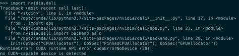 Installation Error With TF Plugin And G Issue NVIDIA DALI GitHub