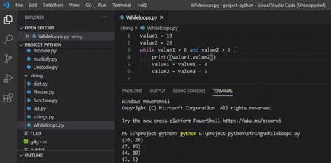 Python While Loop Example Python Guides