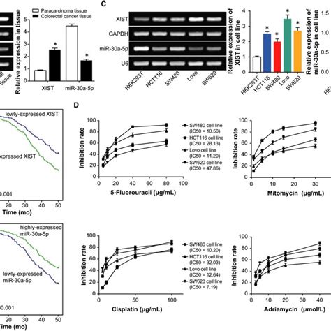 The Association Of XIST And MiR30a5p Expressions With Onset And