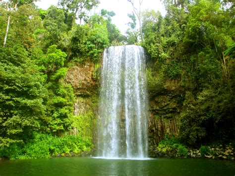 Waterfall In Australia Free Stock Photo Public Domain Pictures