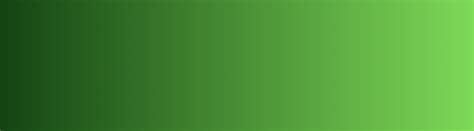 Top 5 Reasons To Invest In A Push Cart Conversion Kit Caddie Wheel