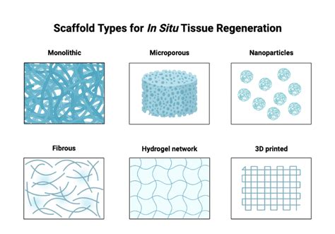Tissue Science