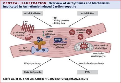 Jacc Heart Failure X Mol