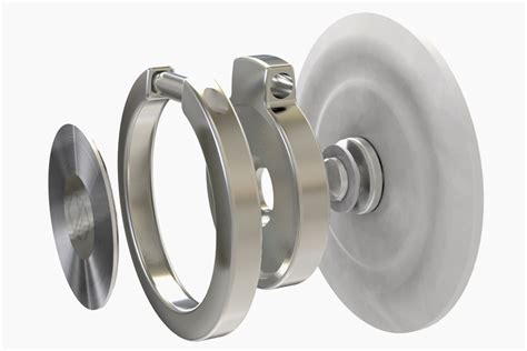 Sinjimoru Ringo — Sinjimoru