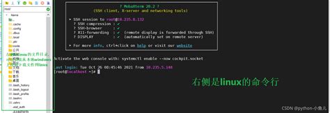 mobaxterm远程编辑linux c文件，中文不乱码 csdn博客