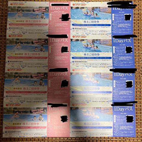 東京都競馬 株主優待券（東京サマーランド招待券8枚）の通販 By グルガンs Shop｜ラクマ