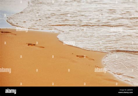 Footprints At Golden Sand Footsteps Sea Background Nature Of
